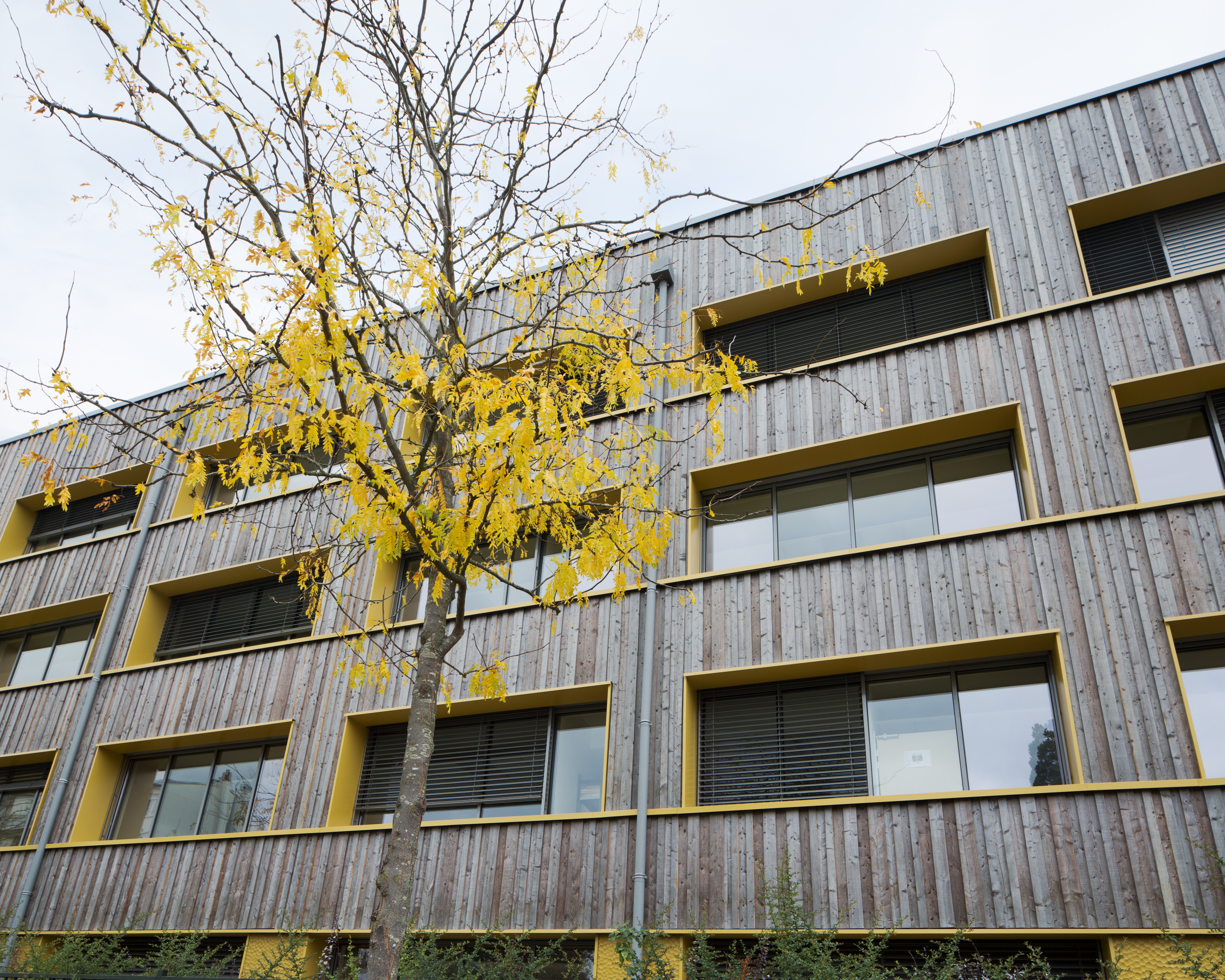 Restructuration du bâtiment C du Lycée Pothier | Envirobat Centre